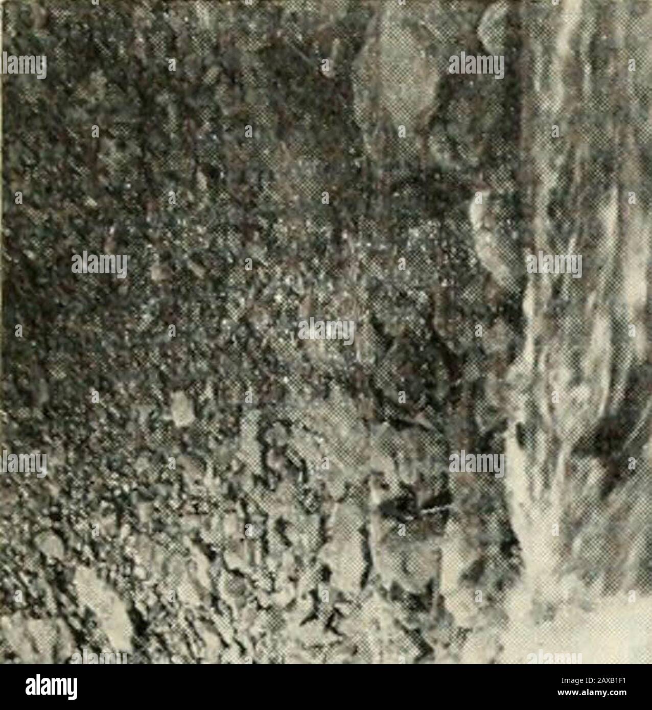 Through the Grand Canyon from Wyoming to Mexico, with a foreword by ...