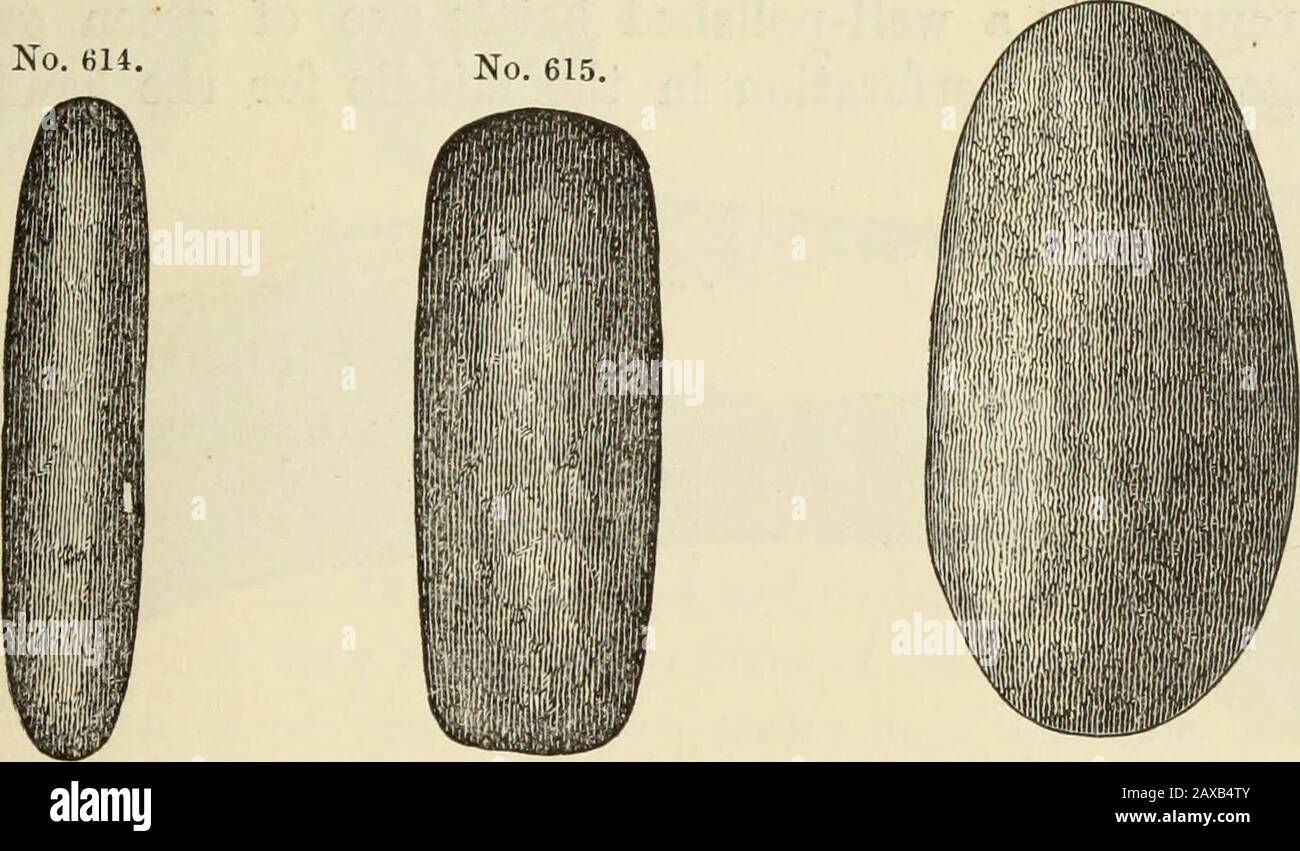 Green diorite hi-res stock photography and images - Alamy