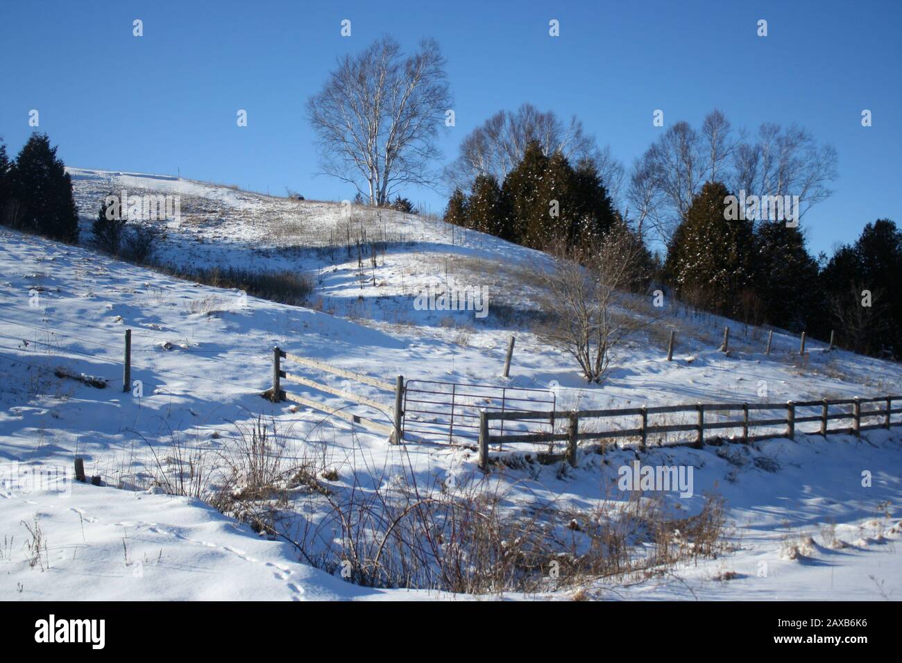 Winter paddock at the horse farm Stock Photo - Alamy
