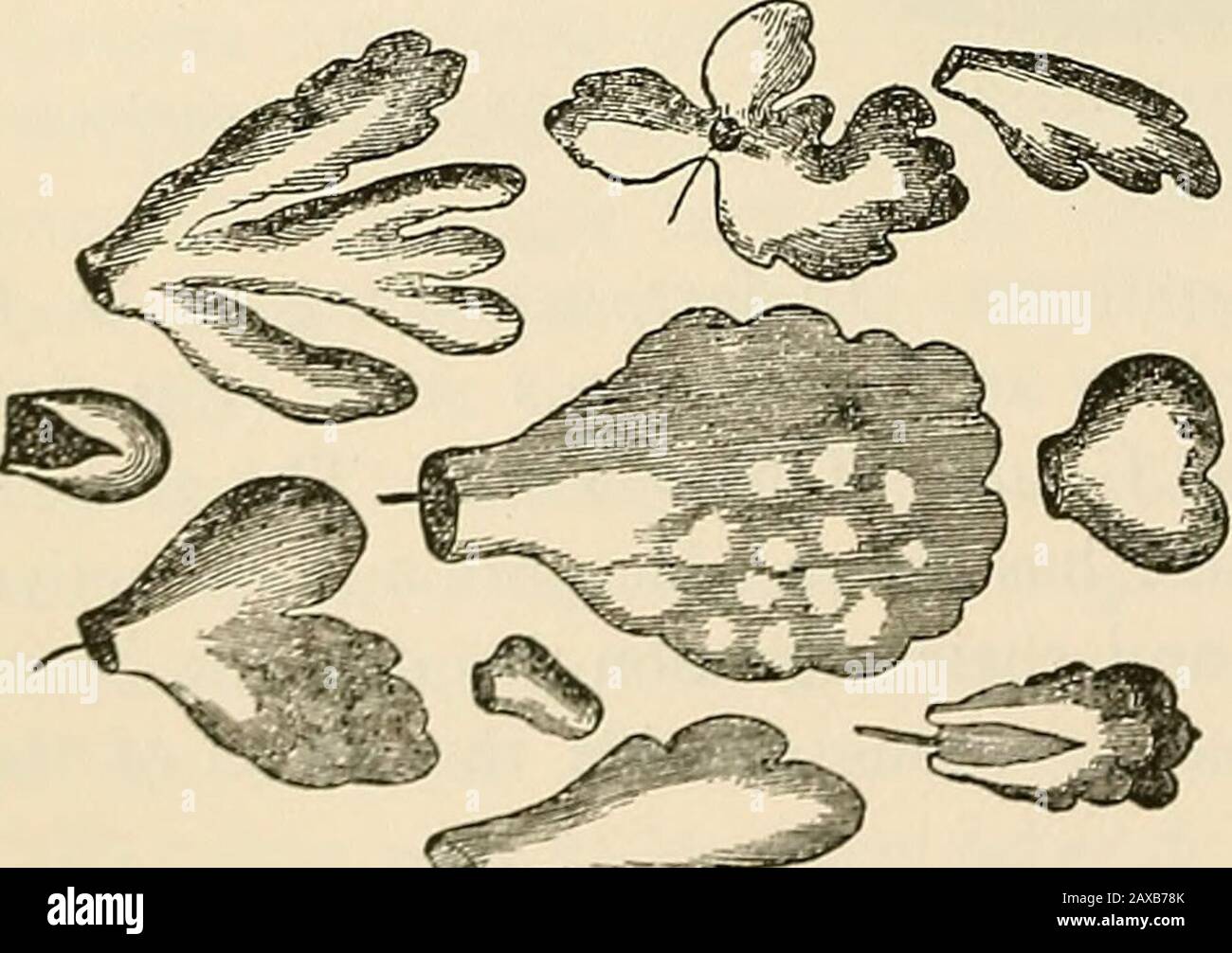 Sebaceous cysts hi-res stock photography and images - Alamy