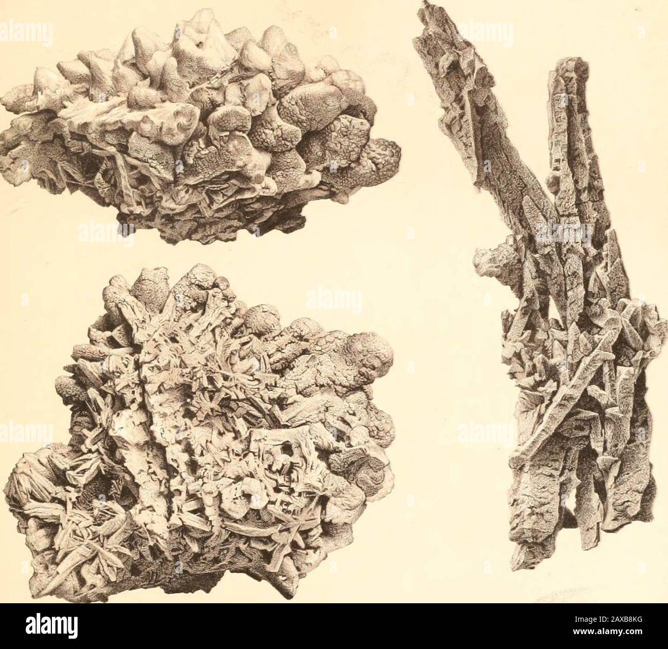 Geological exploration hi-res stock photography and images - Alamy