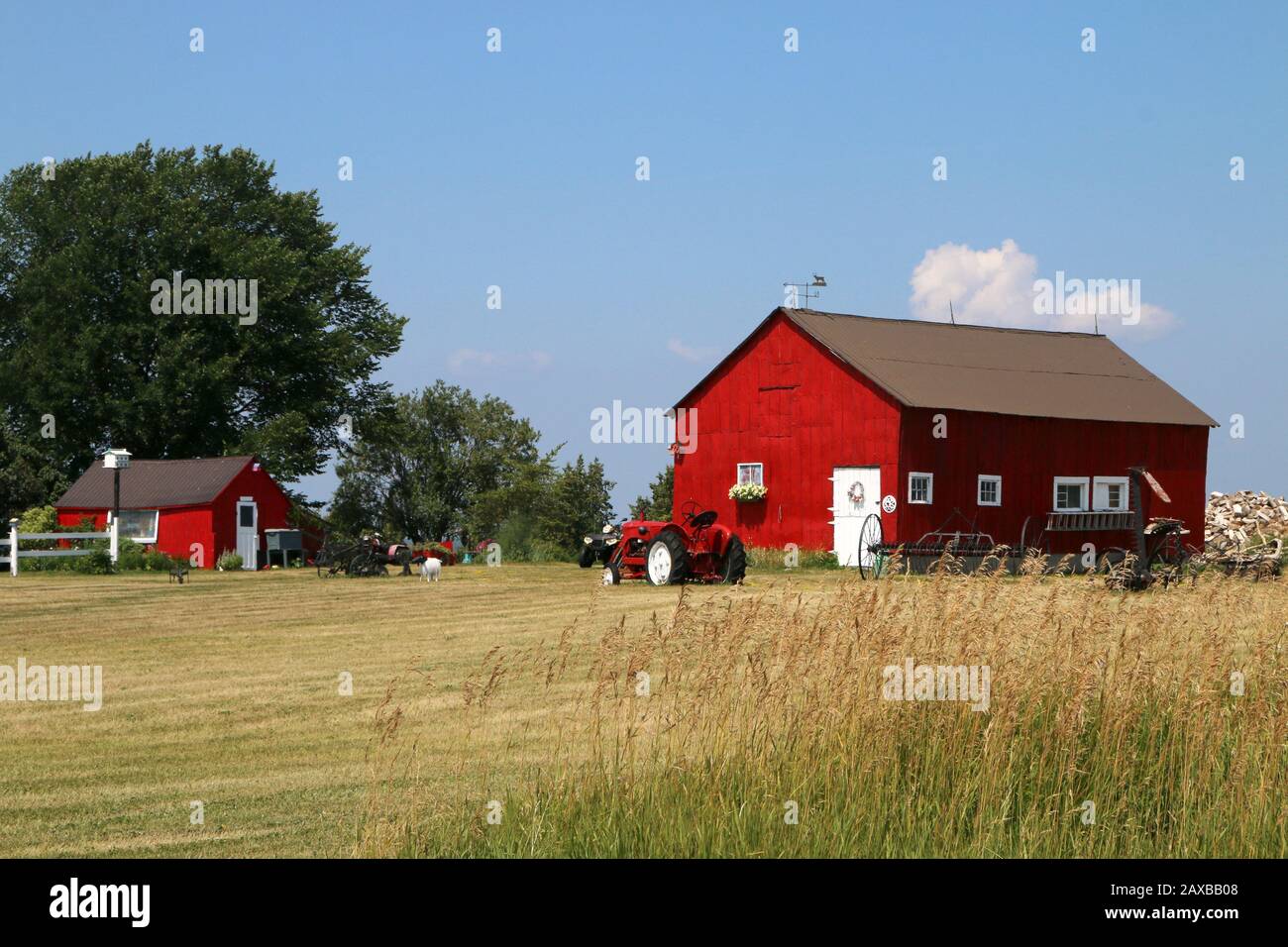 Barn Rural Farming Doors High Resolution Stock Photography and Images ...