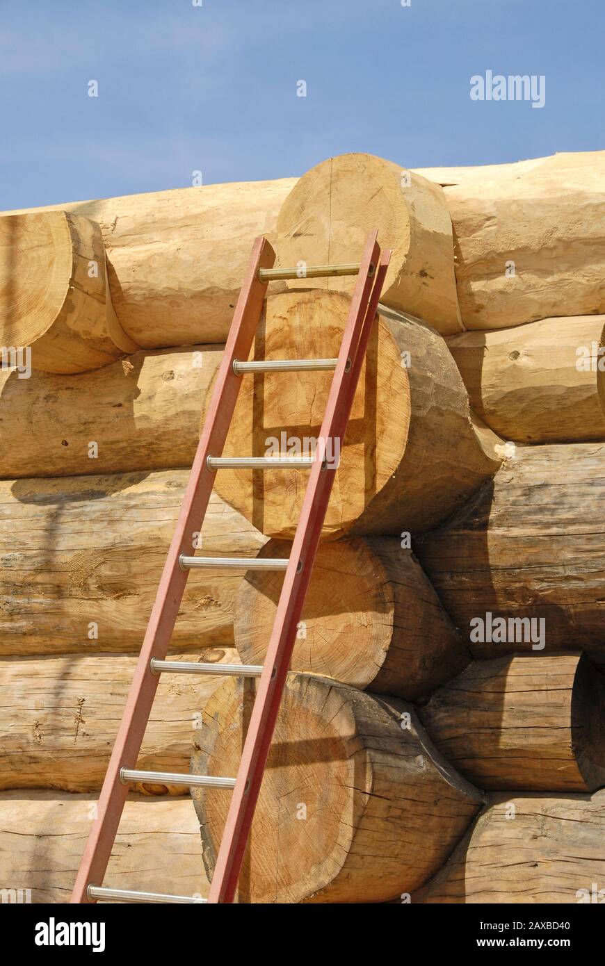 Timber stud wall hi-res stock photography and images - Alamy