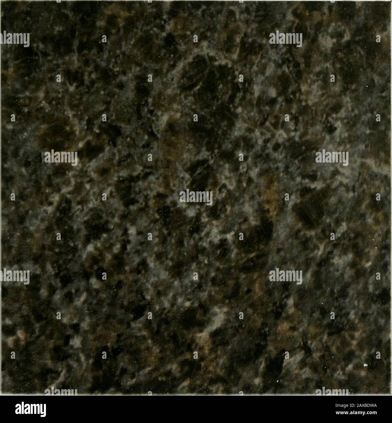 ..Report on the building and ornamental stones of Canada, volI-V . Red ...