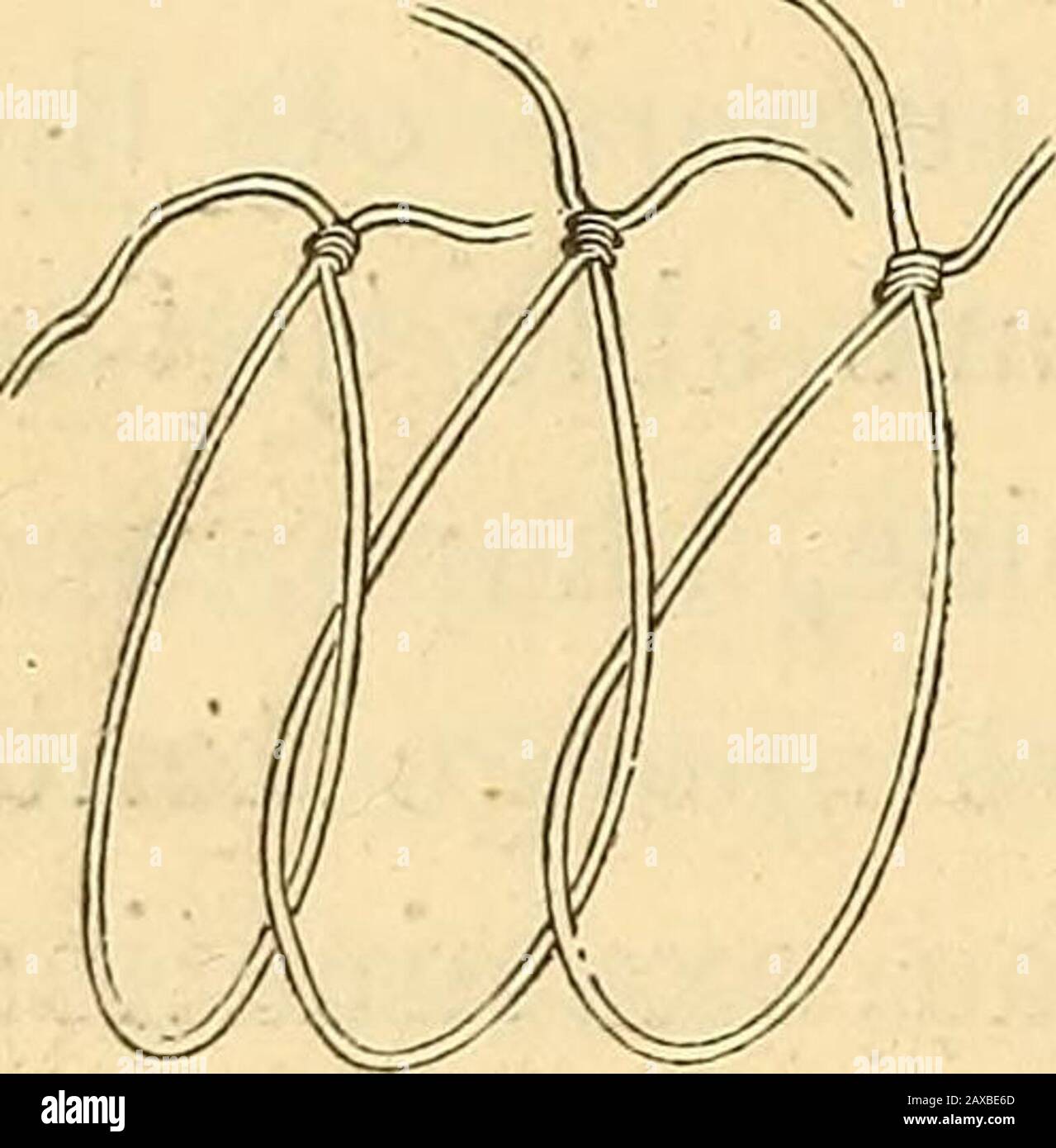 Surgical knots hi-res stock photography and images - Alamy