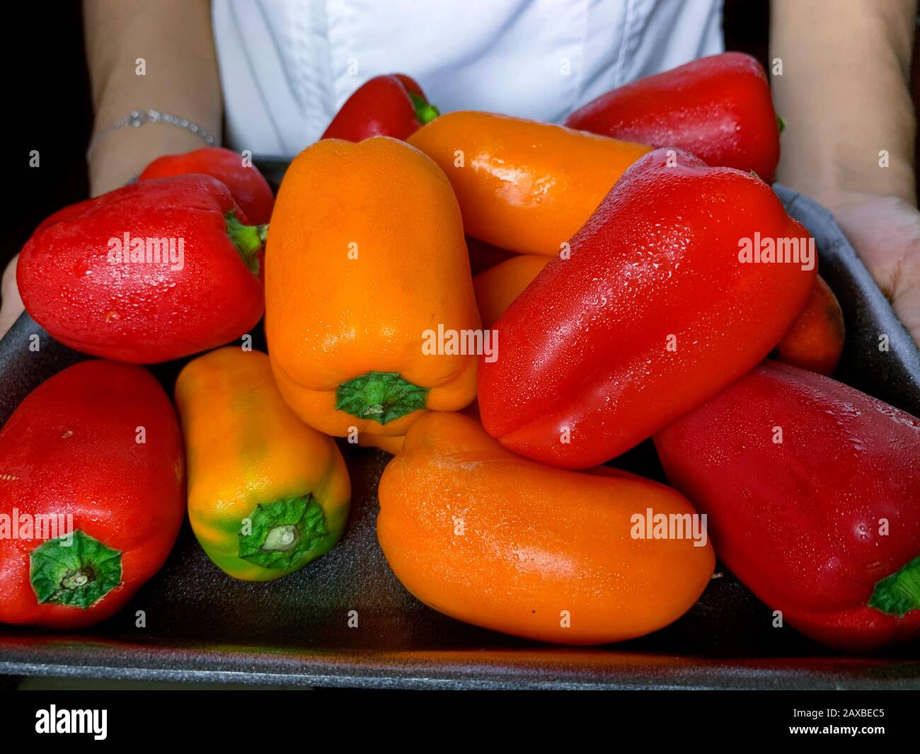 Young chef with a tray of red and yellow peppers Stock Photo - Alamy