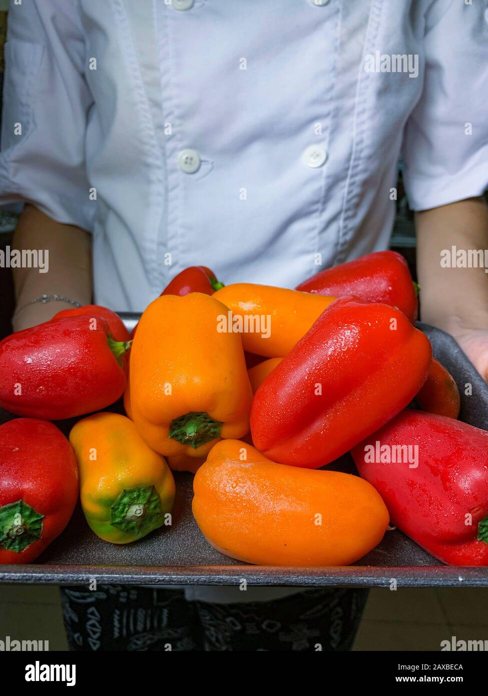 Young chef with a tray of red and yellow peppers Stock Photo - Alamy
