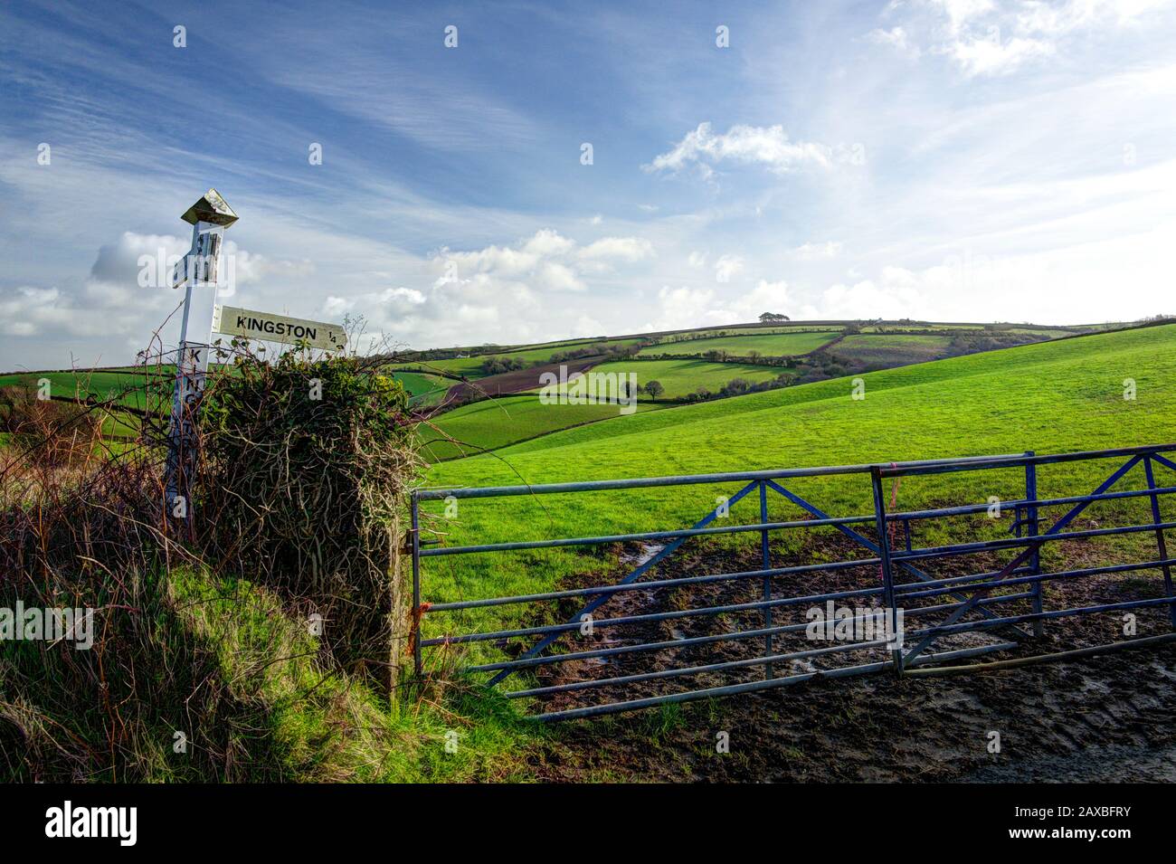 Landscape in South Devon, UK Stock Photo - Alamy