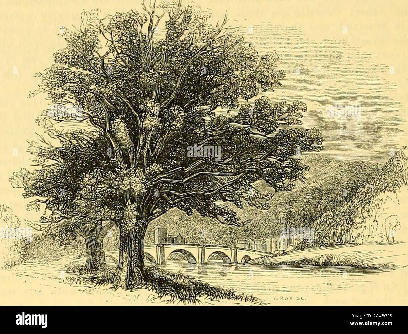 Condescend hi-res stock photography and images - Alamy