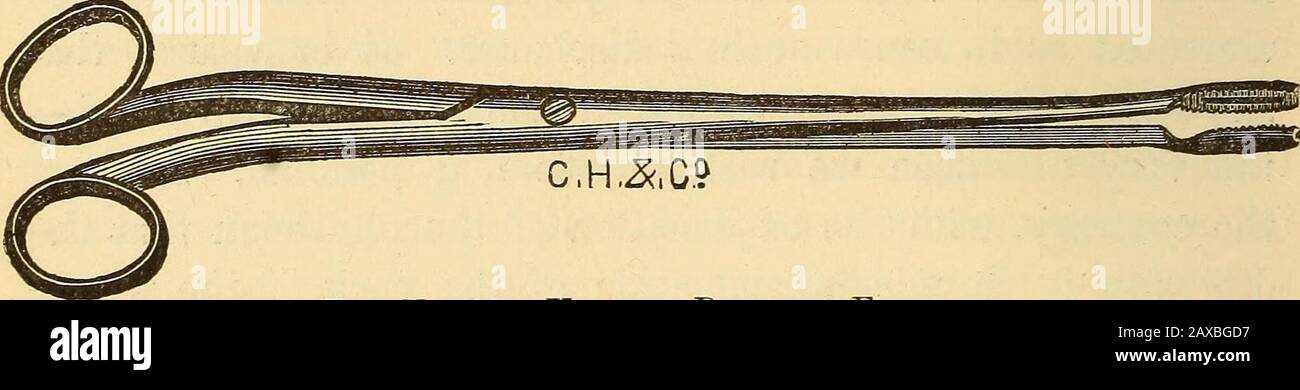 Hard chancre hi-res stock photography and images - Alamy