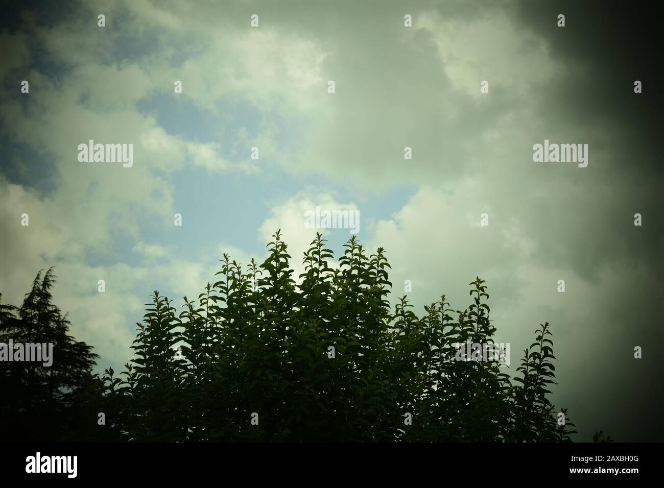 Beautiful scenery view hi-res stock photography and images - Alamy