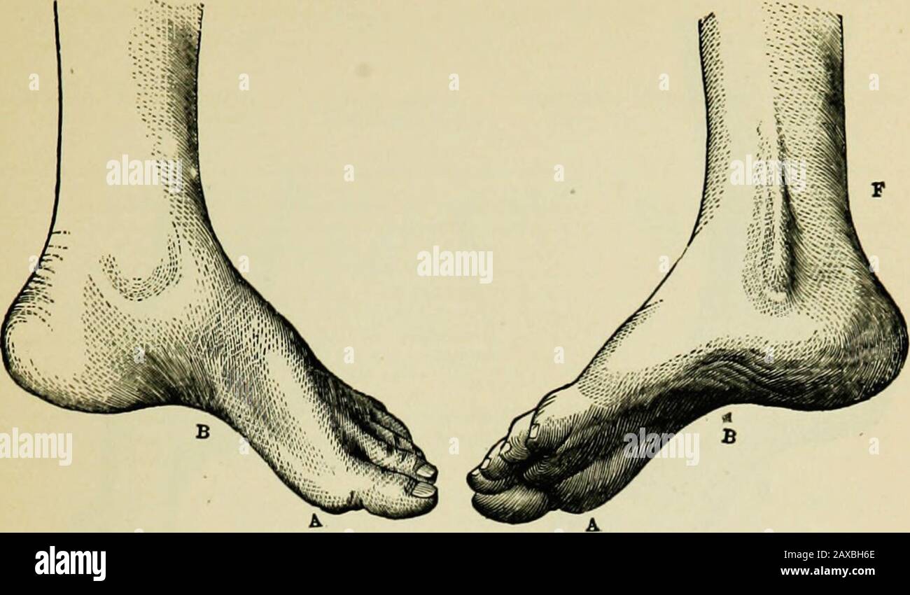 Digito hi-res stock photography and images - Alamy