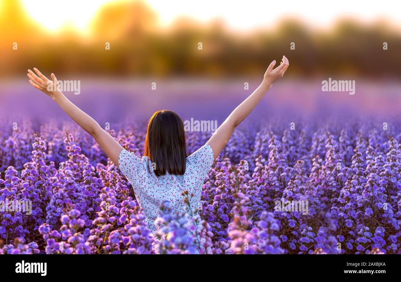 I love flower farm, Mae Rim District, Chiang Mai Province Stock Photo ...