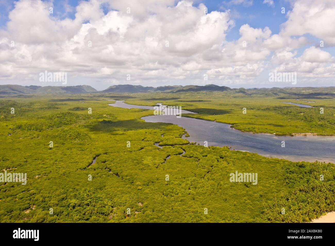Hills with rainforest, aerial view. Tropical landscape with the jungle ...