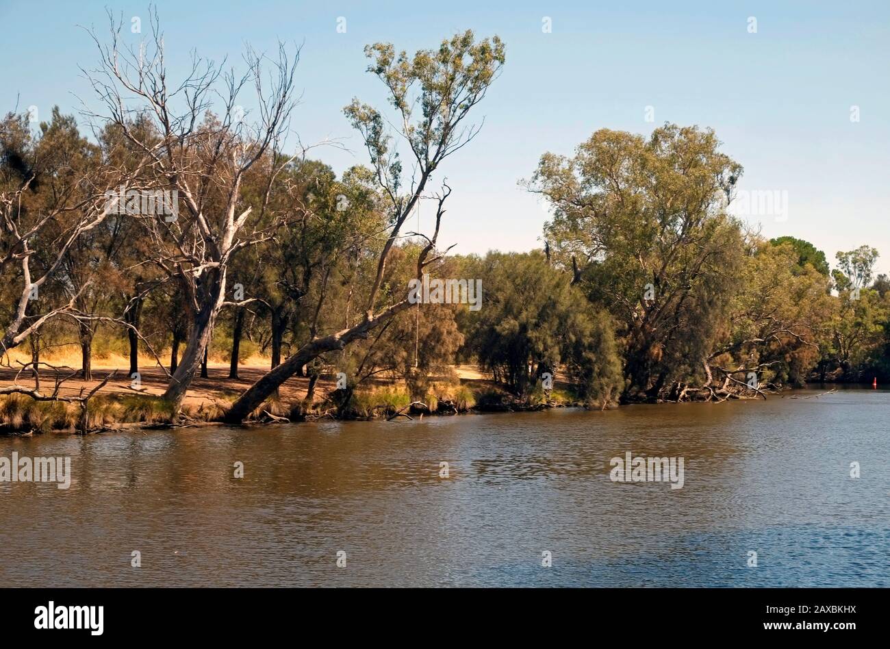 Swan River Perth Western Australia Stock Photo - Alamy