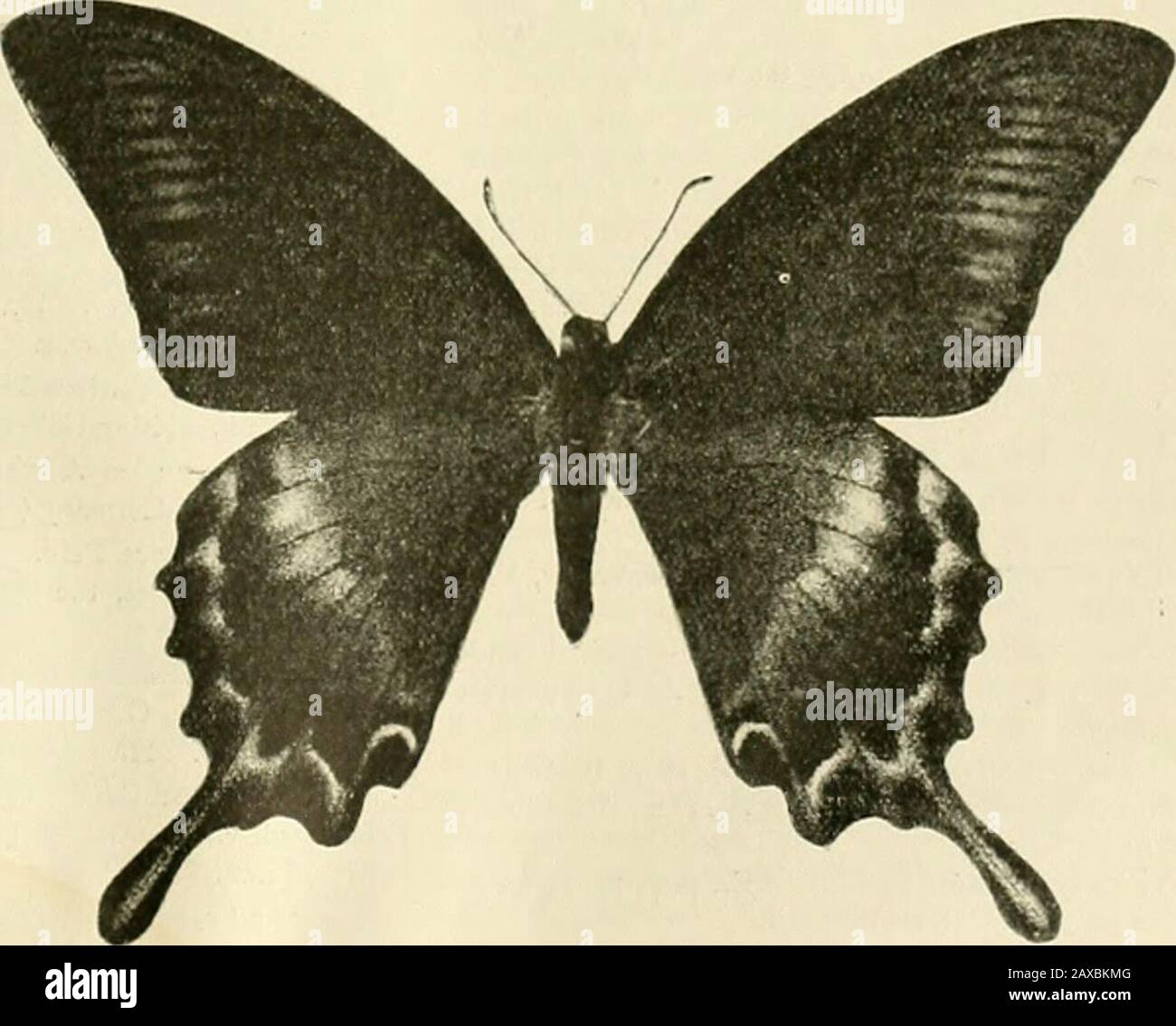 Rench blue hi-res stock photography and images - Alamy