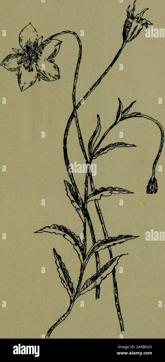 Inverted lip hi-res stock photography and images - Alamy