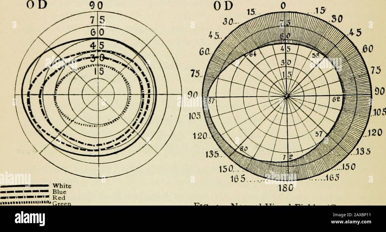 Speech on mother language hi-res stock photography and images - Alamy