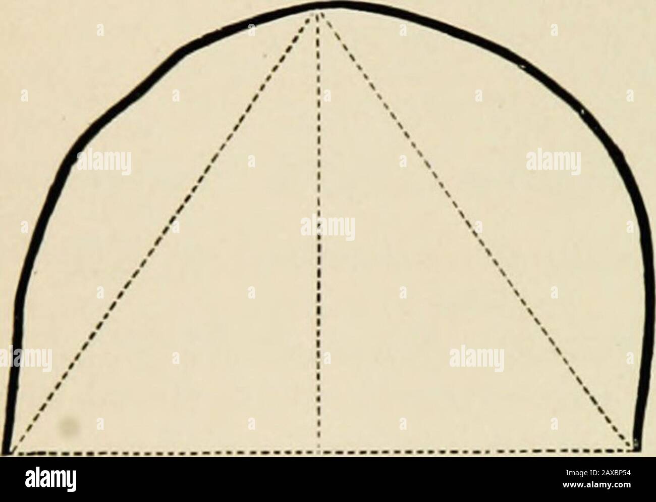 Dolichocephalic hi-res stock photography and images - Alamy