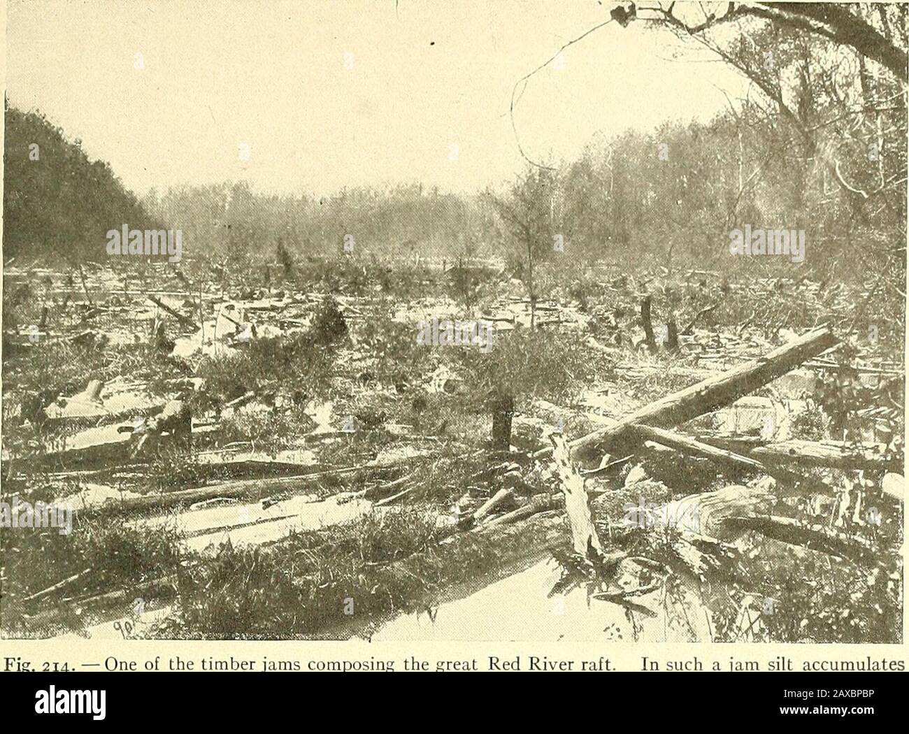 John branner hi-res stock photography and images - Alamy