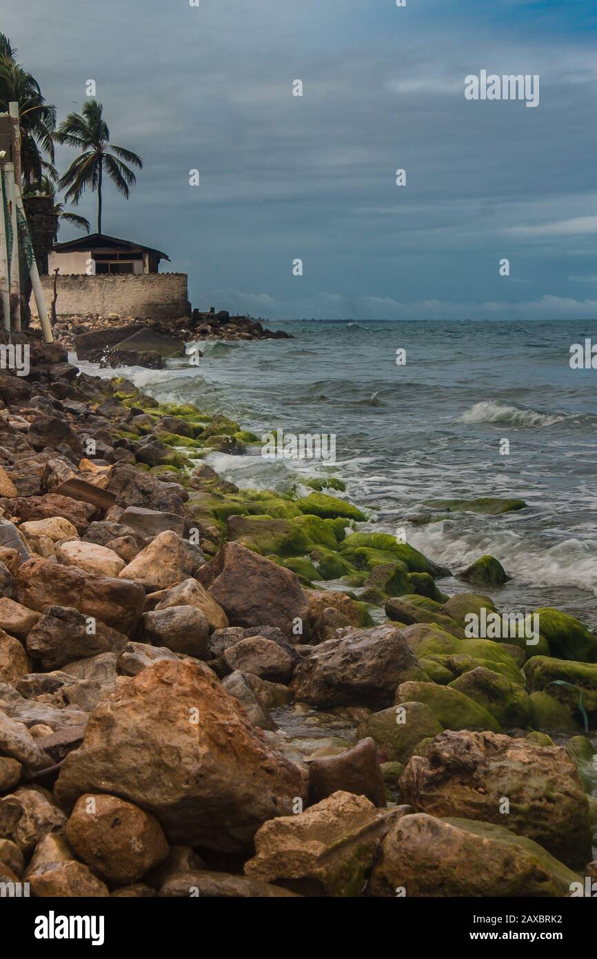 Saline algae hi-res stock photography and images - Alamy