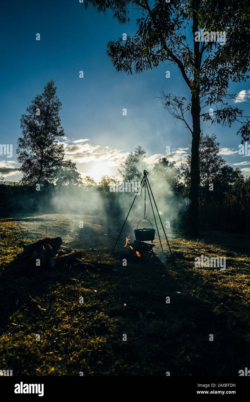 Pot heating over campfire in sunny tranquil woods Stock Photo - Alamy
