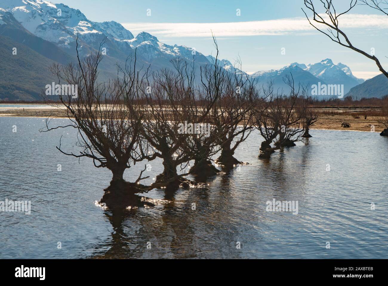 Tree topped island hi-res stock photography and images - Alamy