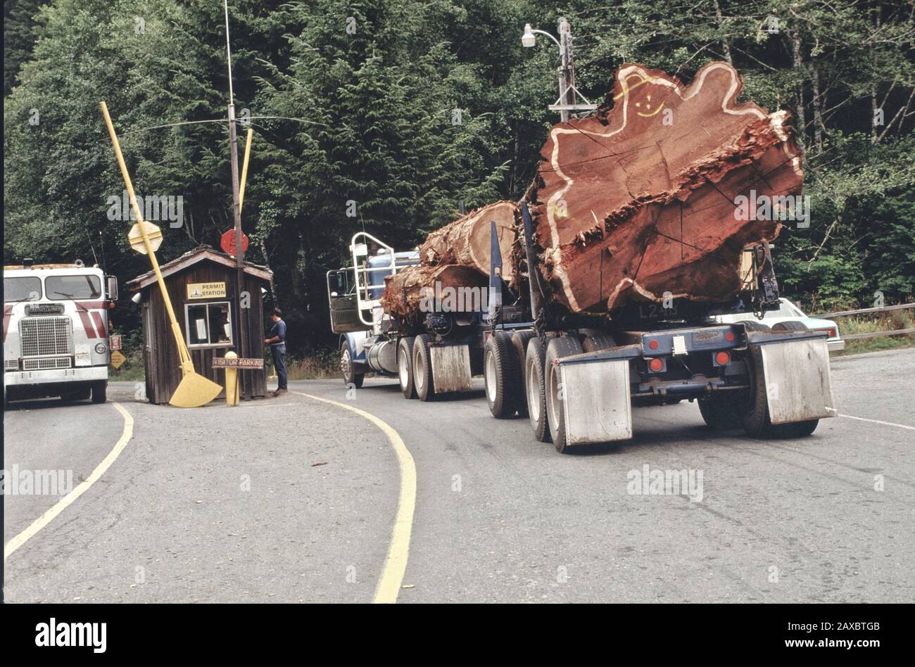 Logging lumber redwood hi-res stock photography and images - Alamy