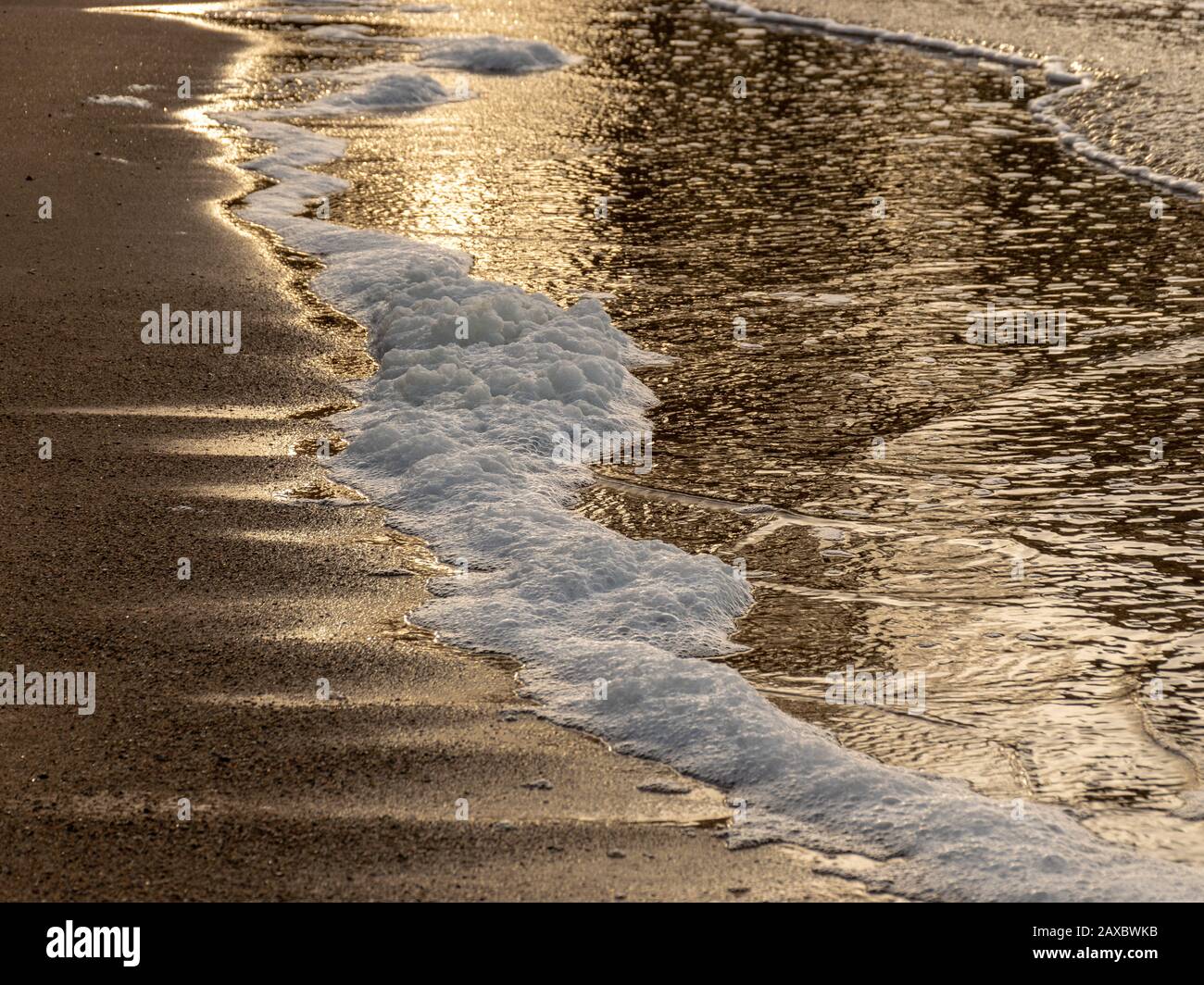 abstract backlit sea foam texture, beach and sea waves Stock Photo - Alamy