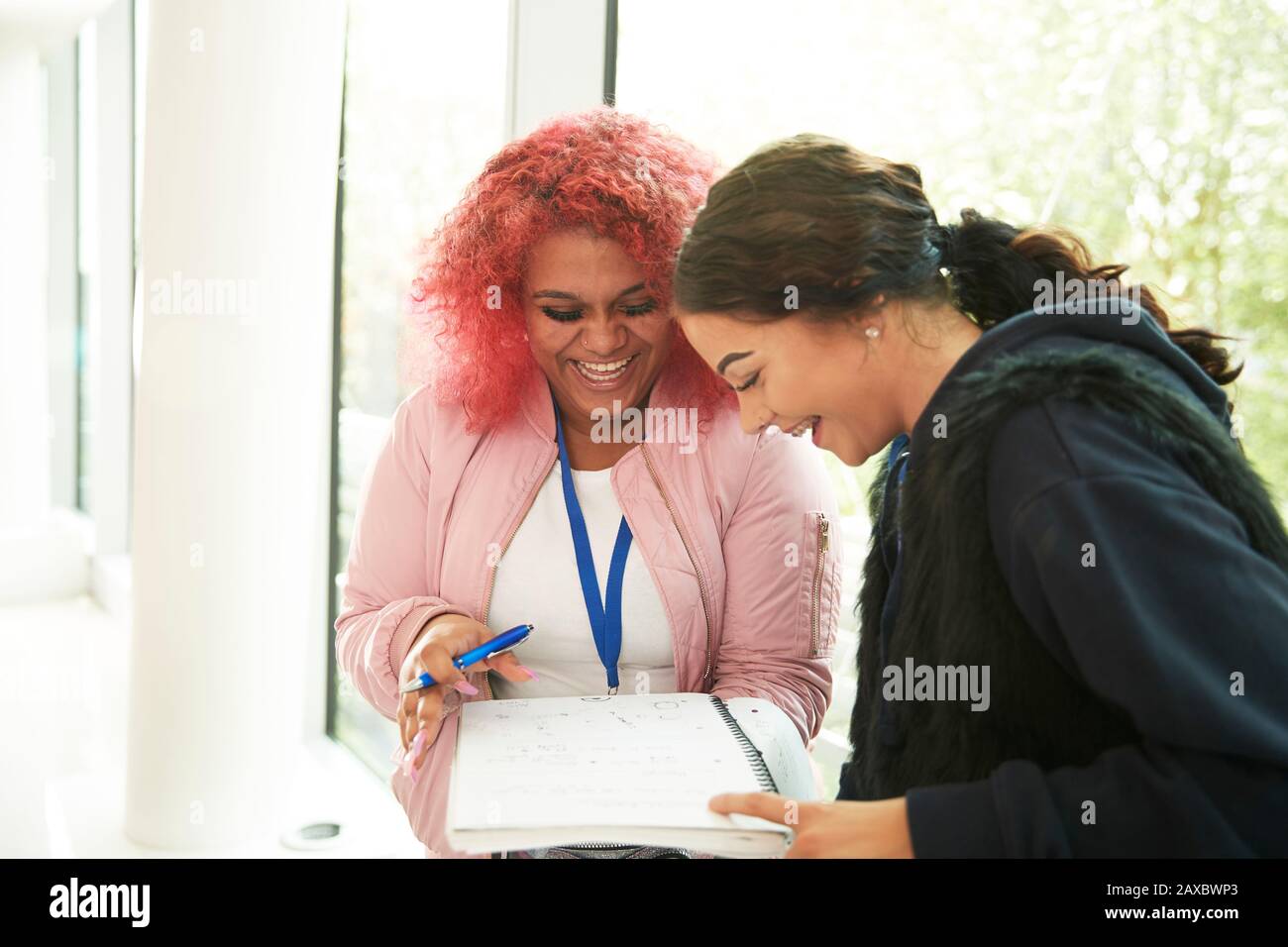Happy high school girl students studying in corridor Stock Photo - Alamy