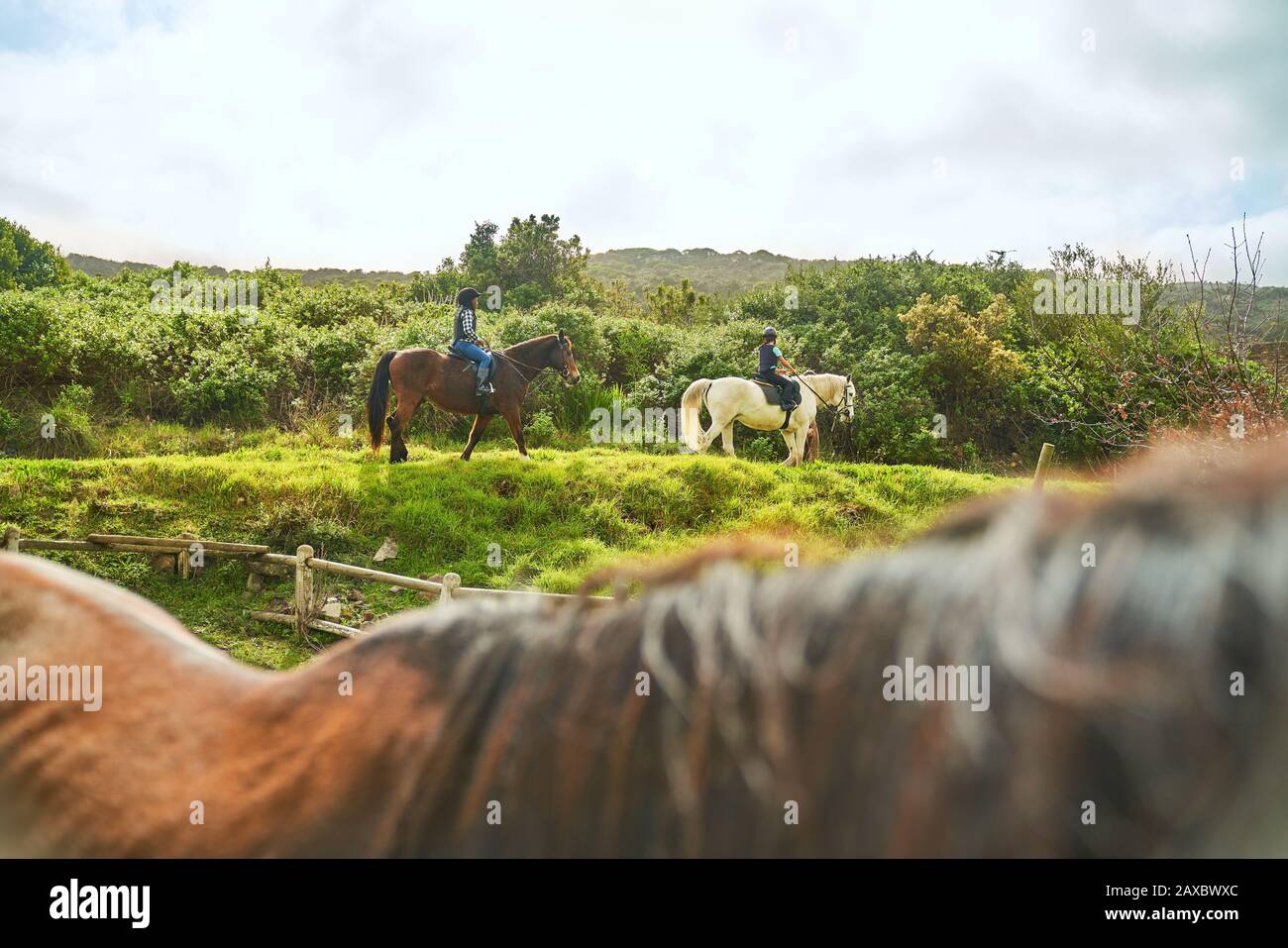 Farm girl up on hi-res stock photography and images - Alamy
