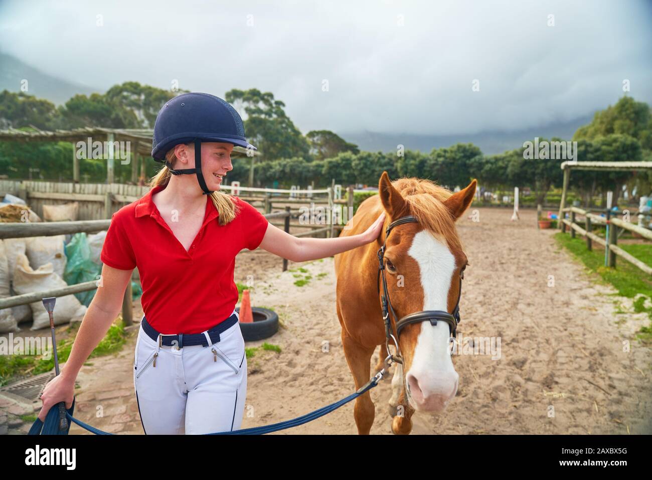 Teenage girl in equestrian helmet leading horse along paddock Stock ...