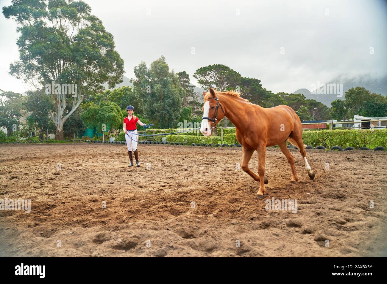 Young woman training horse in rural dirt paddock Stock Photo - Alamy