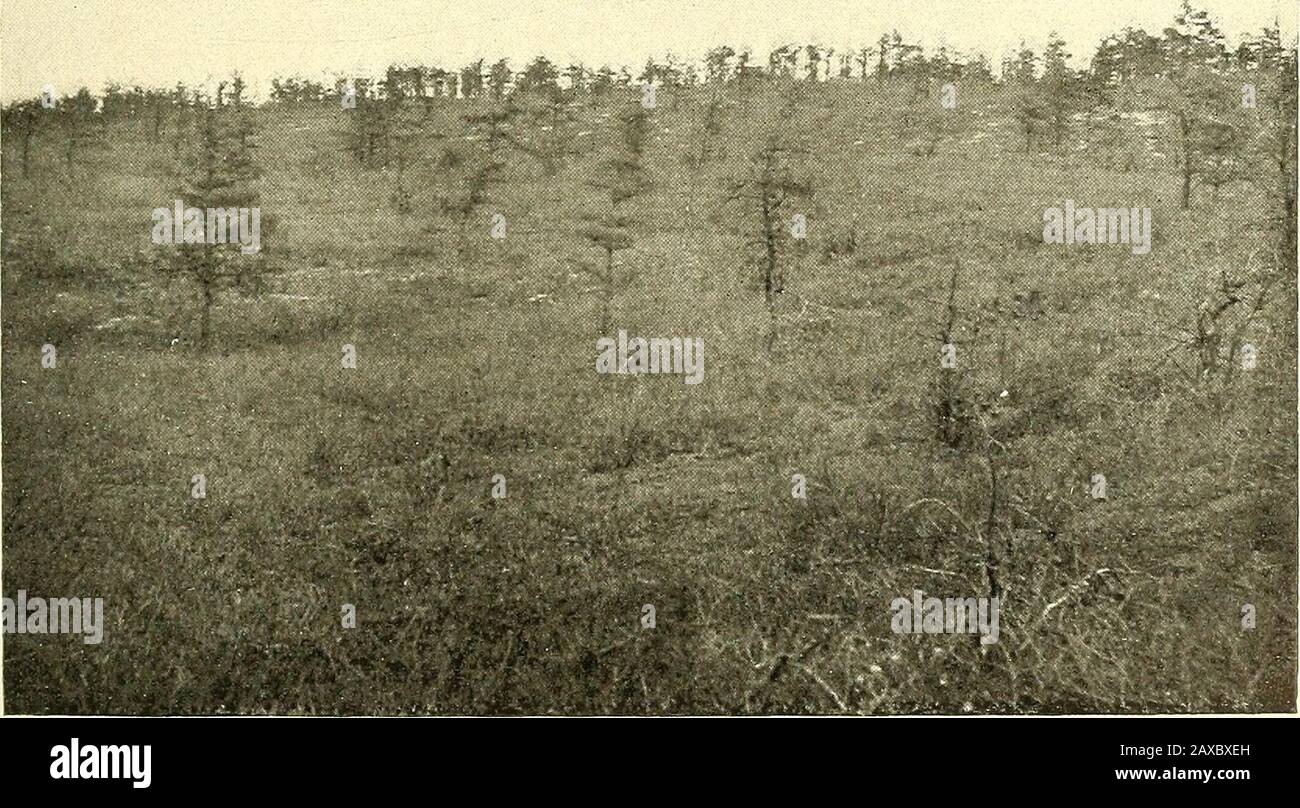 Forest physiography; physiography of the United States and principles ...