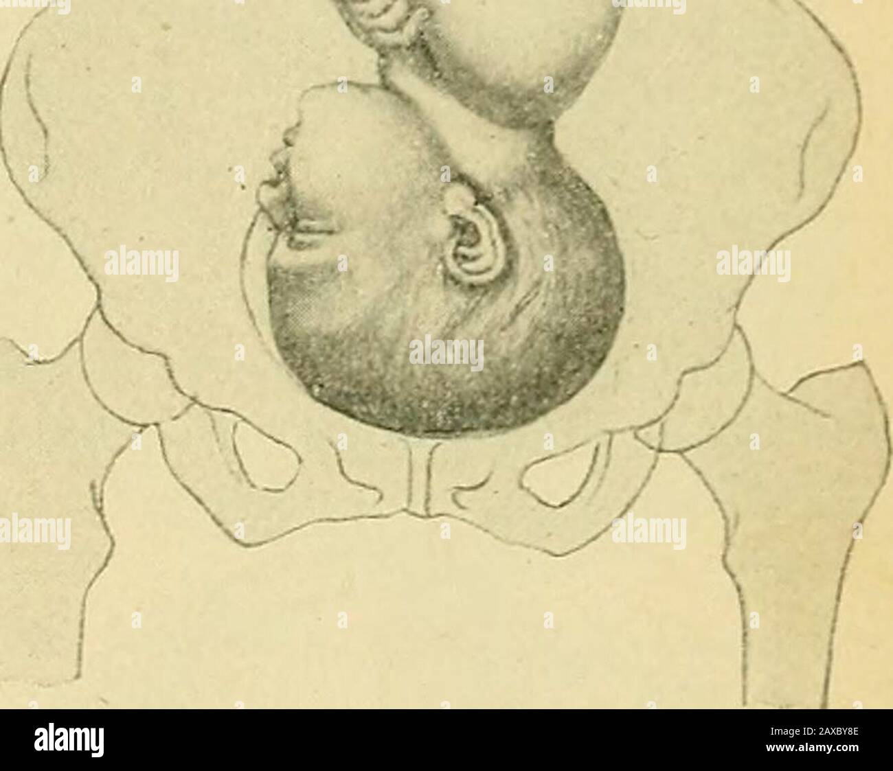 Vertex presentations hi-res stock photography and images - Alamy