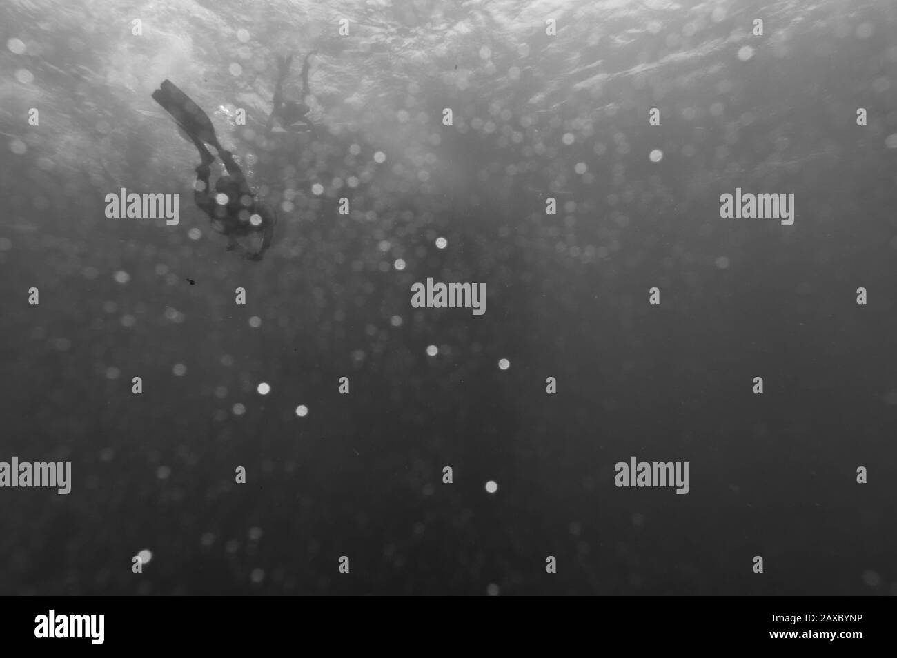abstract image of a drammatic scene of a diver. Black and white Stock ...