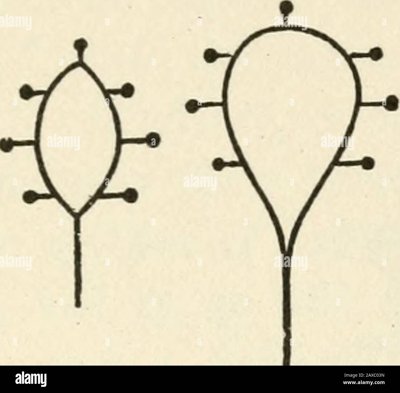 Ancient pagan and modern Christian symbolism . 98 represents a temple ...