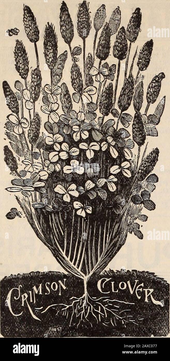 Distributing seeds hi-res stock photography and images - Alamy