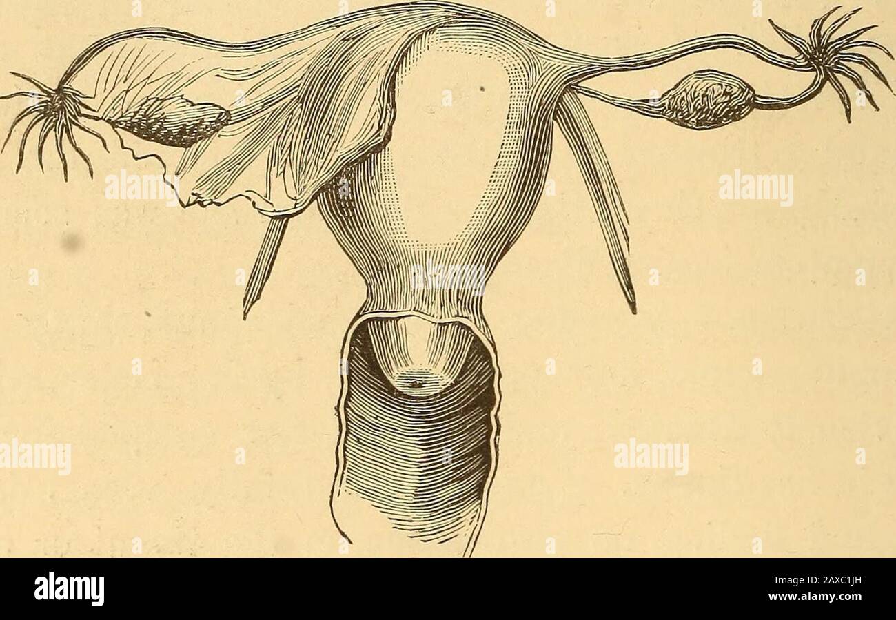 Tocomplain hi-res stock photography and images - Alamy