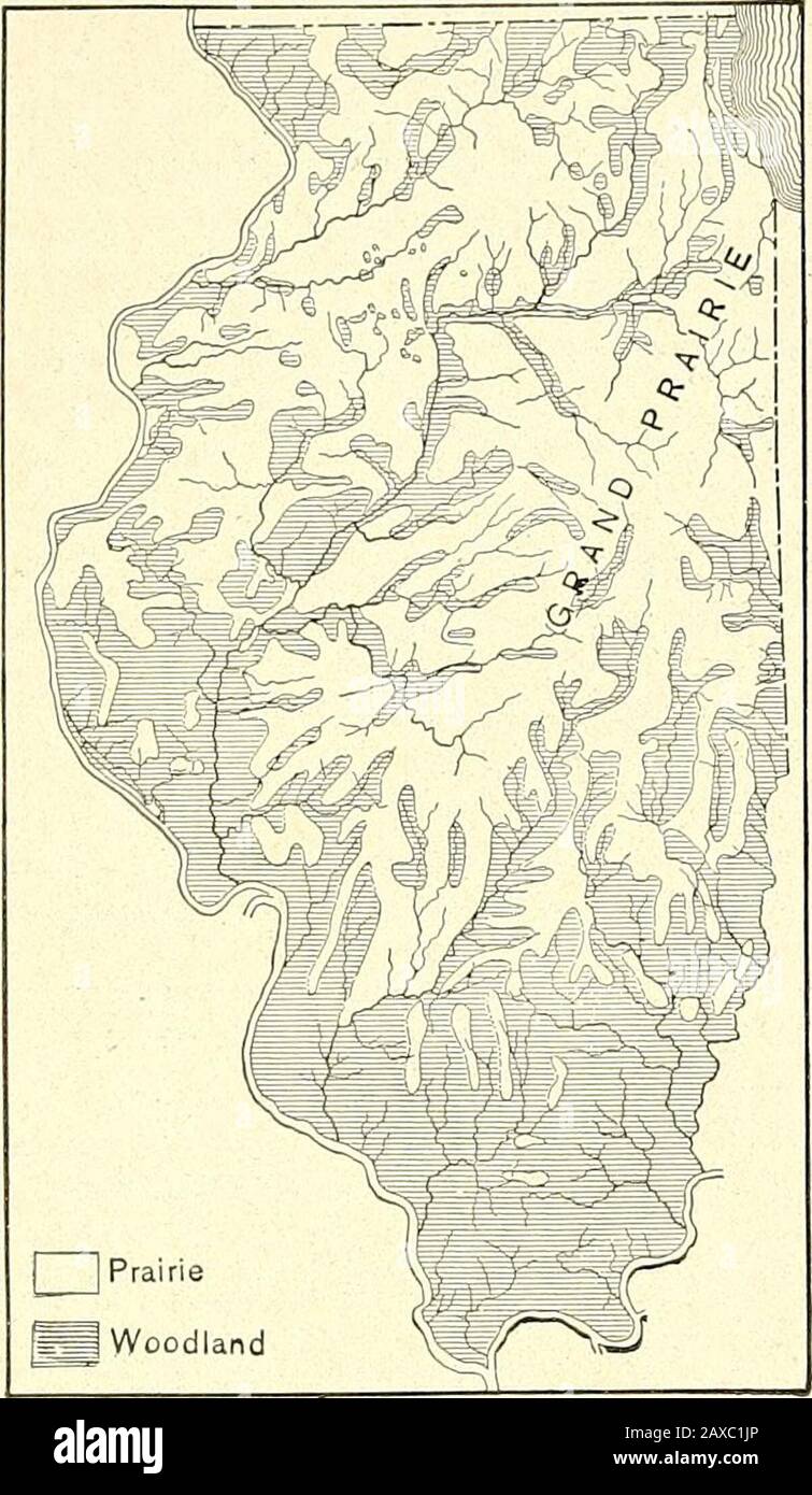 Forest physiography; physiography of the United States and principles ...