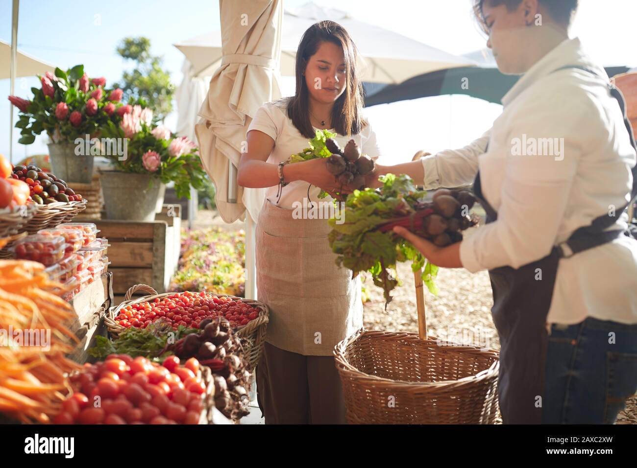 Worker and farmer hi-res stock photography and images - Alamy