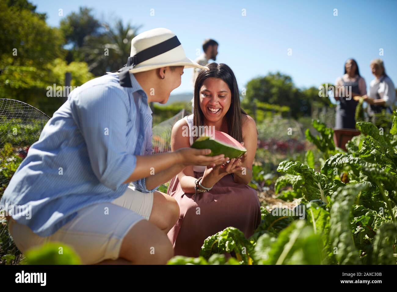Young women enjoying farm fresh watermelon in sunny vegetable garden ...