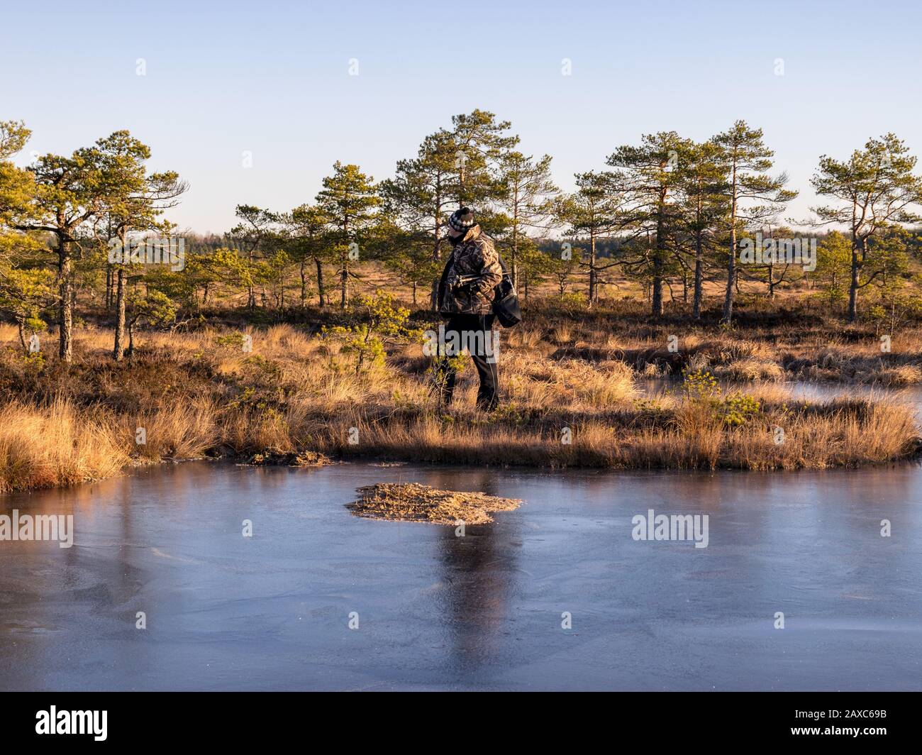 human figure in camouflage costume in swamp, sunny morning Stock Photo ...