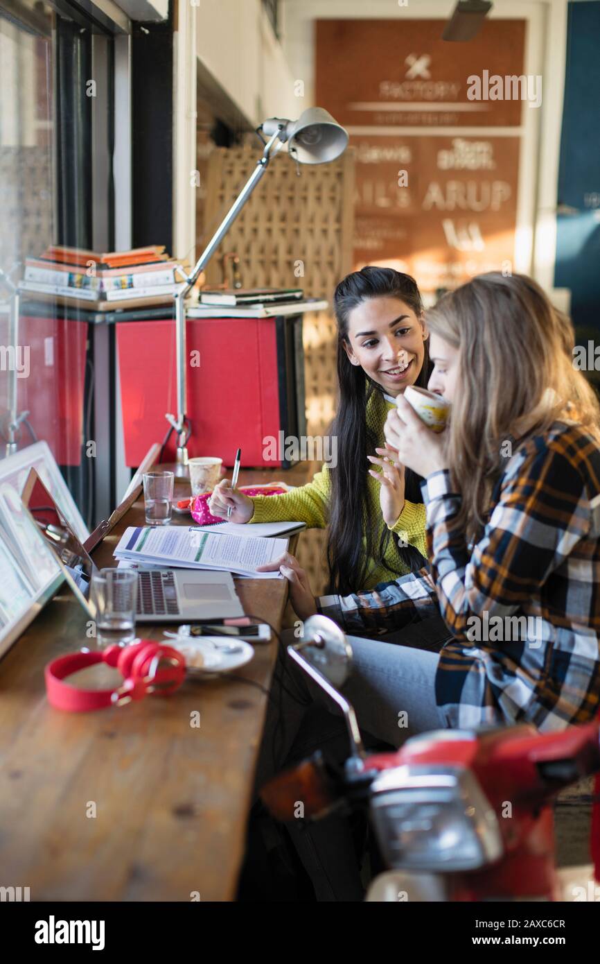 Young female college students studying in cafe Stock Photo - Alamy