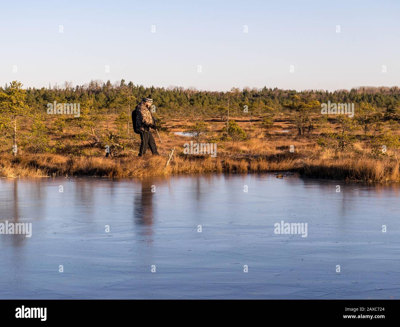 human figure in camouflage costume in swamp, sunny morning Stock Photo ...