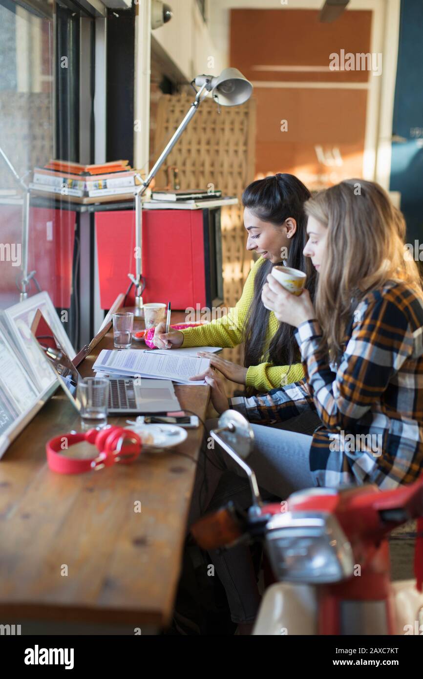 Young female college students studying in cafe window Stock Photo - Alamy