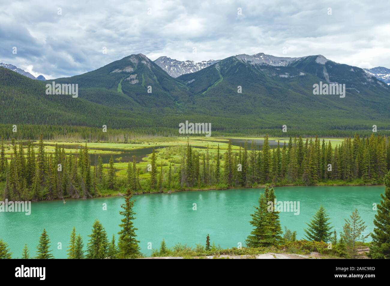 Backswamp view point with Bow River in summer, Banff National Park ...