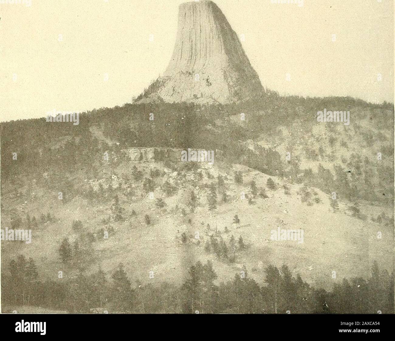 Forest physiography; physiography of the United States and principles ...