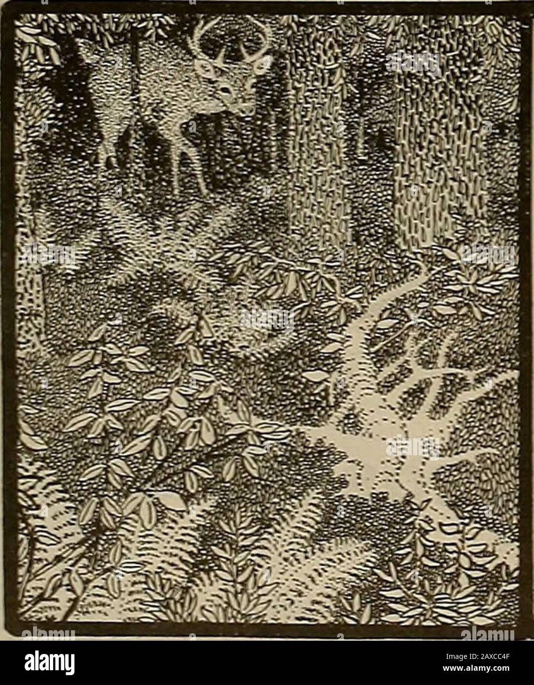 Breeder and sportsman . the Remington, idea Xote the Solid Breeeh ...