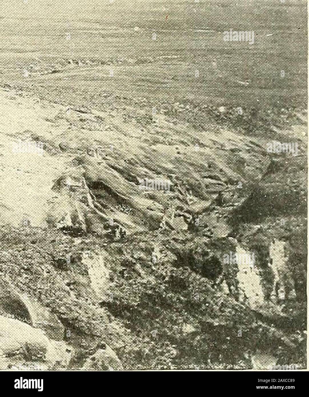 Forest physiography; physiography of the United States and principles ...